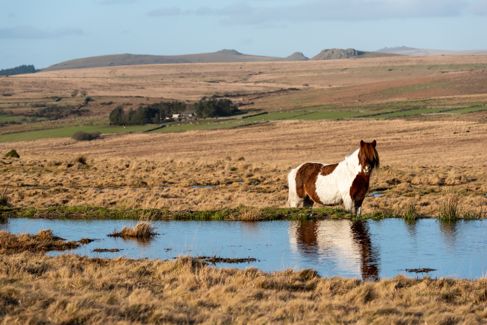 Trowlesworthy Tors